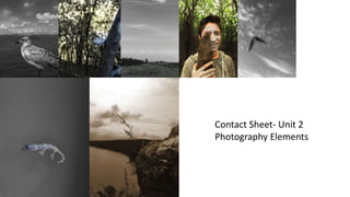 Unit 2 photography elements | PPTX