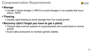 Unit 2 plant tissue culture applications, advantages and limitations | PPTX