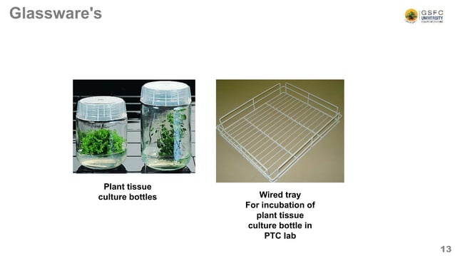 Unit 2 plant tissue culture lab introduction | PPTX | Home Appliances ...