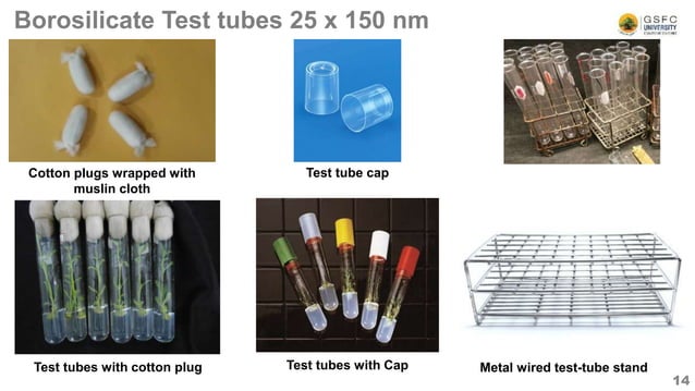 Unit 2 plant tissue culture lab introduction | PPTX | Home Appliances ...