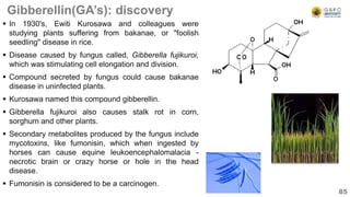 Unit 2 plant tissue culture lab introduction | PPTX