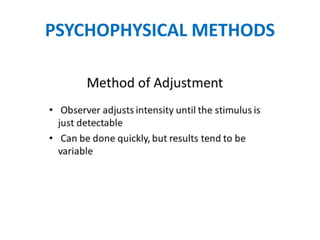 Unit 2 Psychophysics.pptx