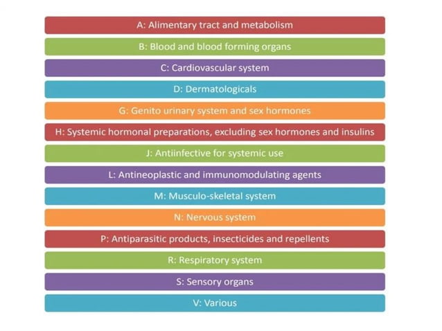 Fundamentals of ATC Coding DDD and INN Classification | PPTX