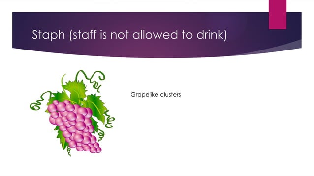 Unit 2 review medical Terminology. Med Term Made Easy | PPT