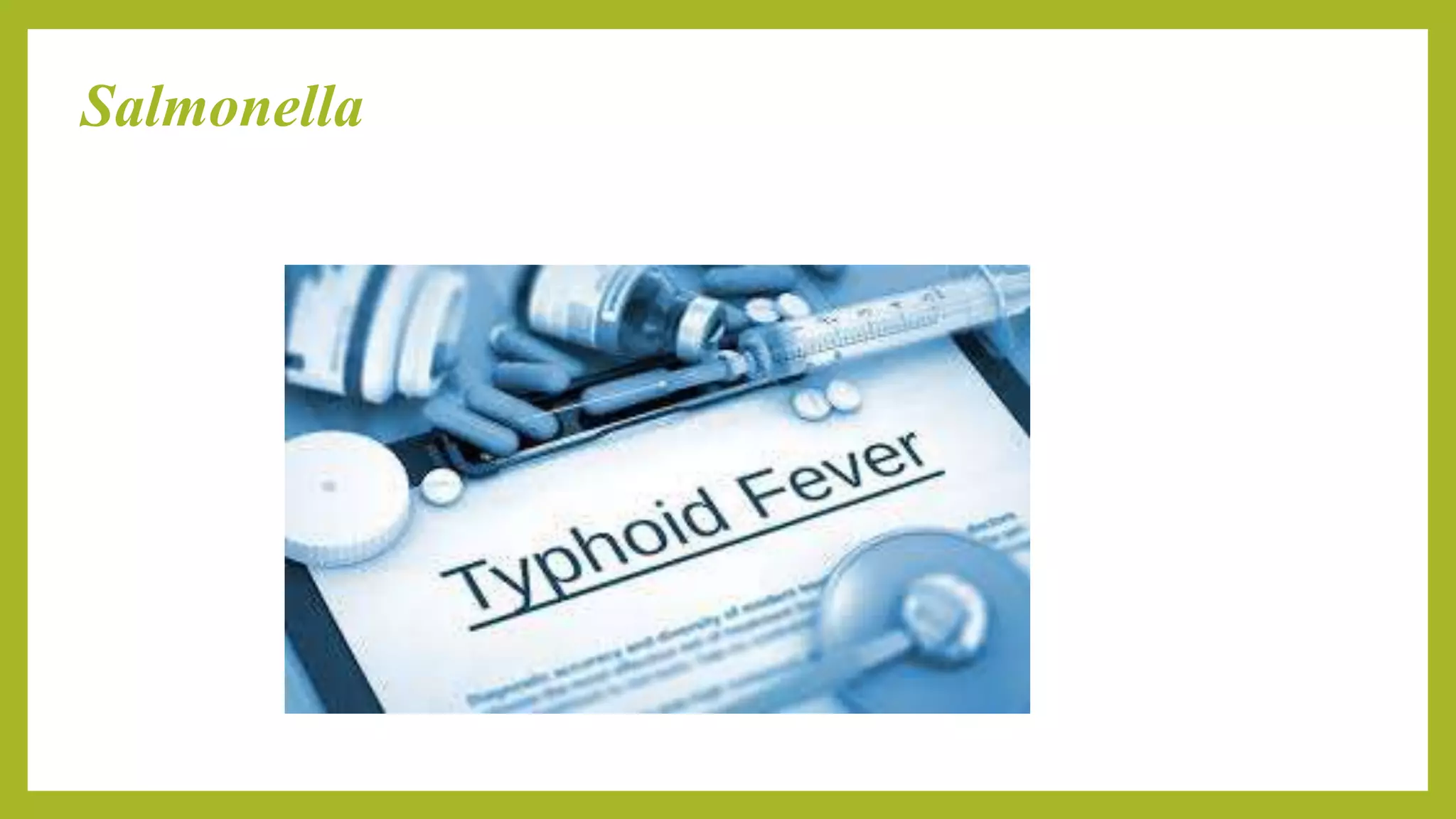 unit 2 Salmonella lecture3.pptx