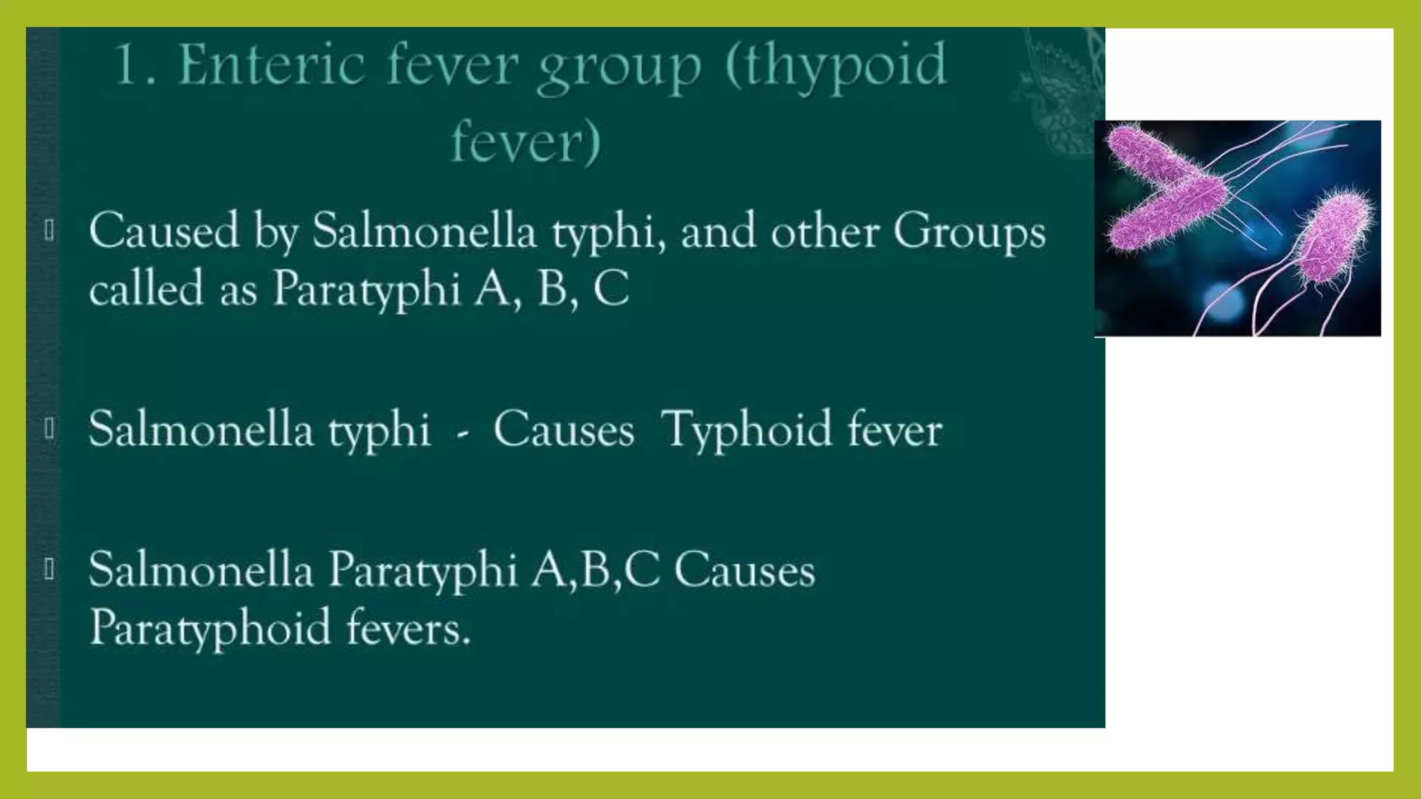 unit 2 Salmonella lecture3.pptx