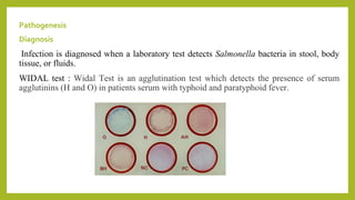 unit 2 Salmonella lecture3.pptx