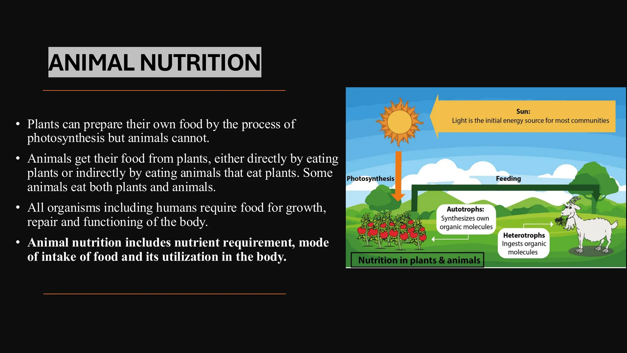 PPT FOR CBSE CLASS 7 SCIENCE UNIT 2 SCIENCE.pdf