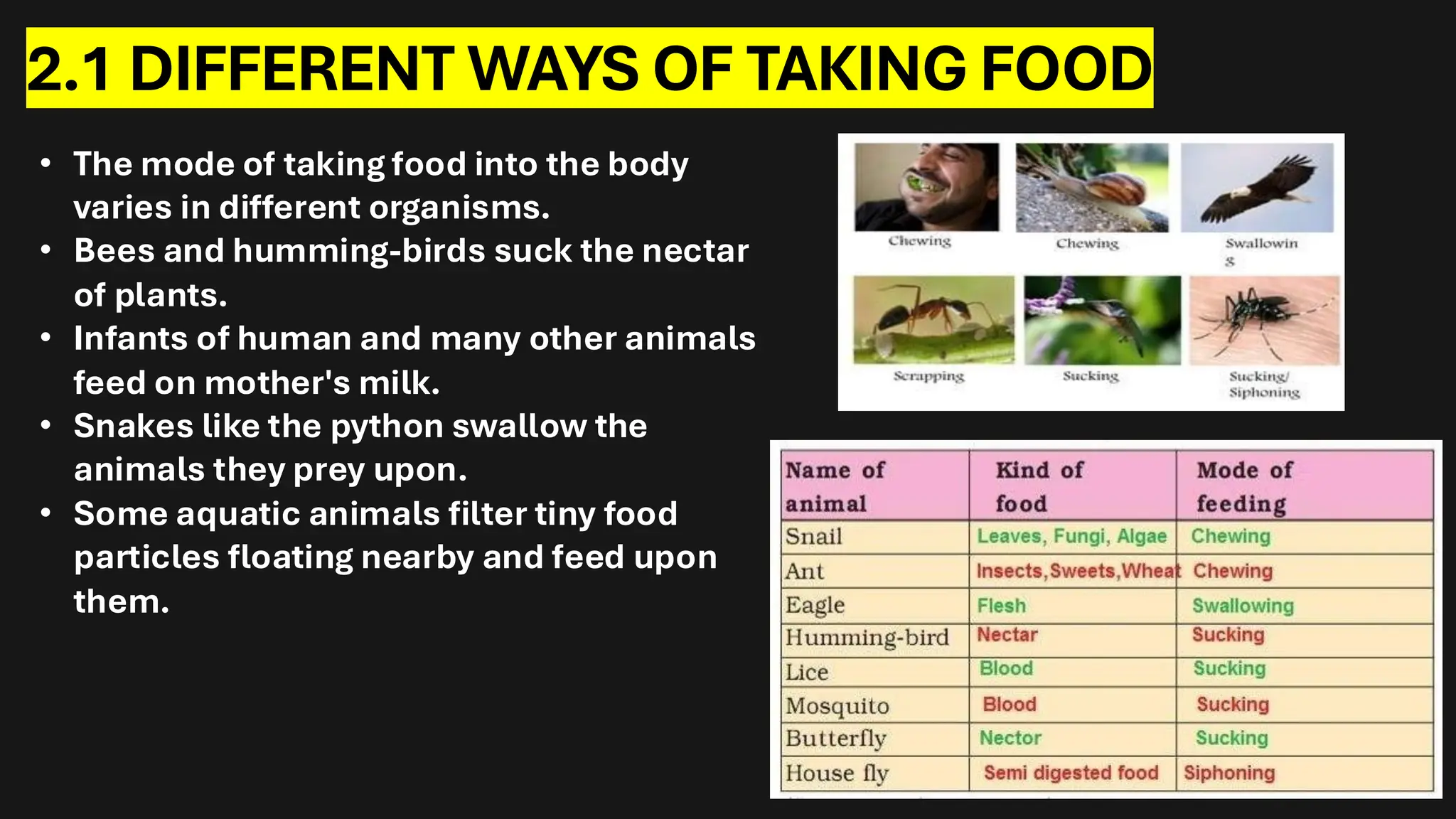 PPT FOR CBSE CLASS 7 SCIENCE UNIT 2 SCIENCE.pdf