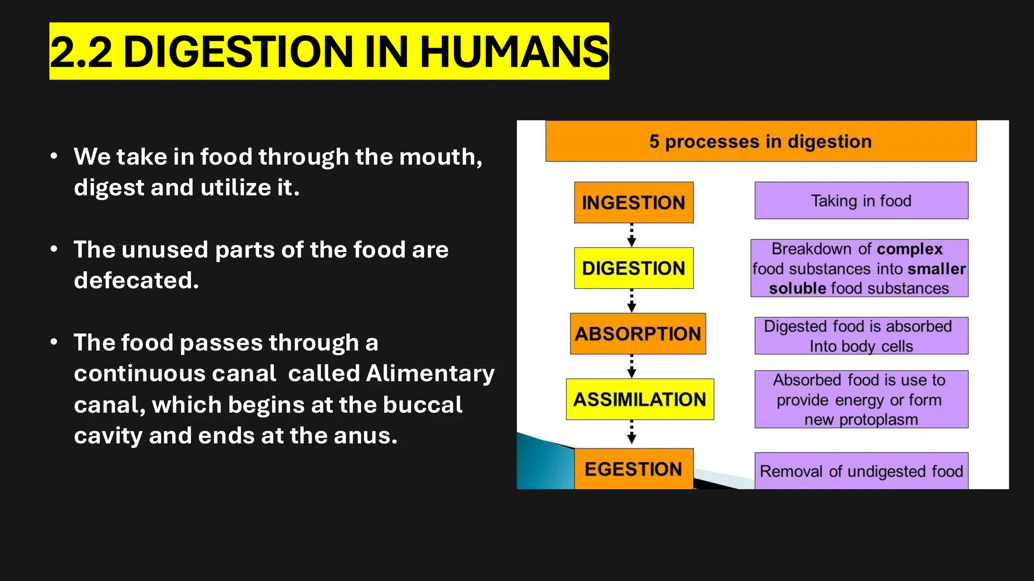 PPT FOR CBSE CLASS 7 SCIENCE UNIT 2 SCIENCE.pdf