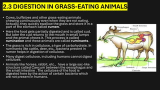 PPT FOR CBSE CLASS 7 SCIENCE UNIT 2 SCIENCE.pdf