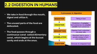 PPT FOR CBSE CLASS 7 SCIENCE UNIT 2 SCIENCE.pdf