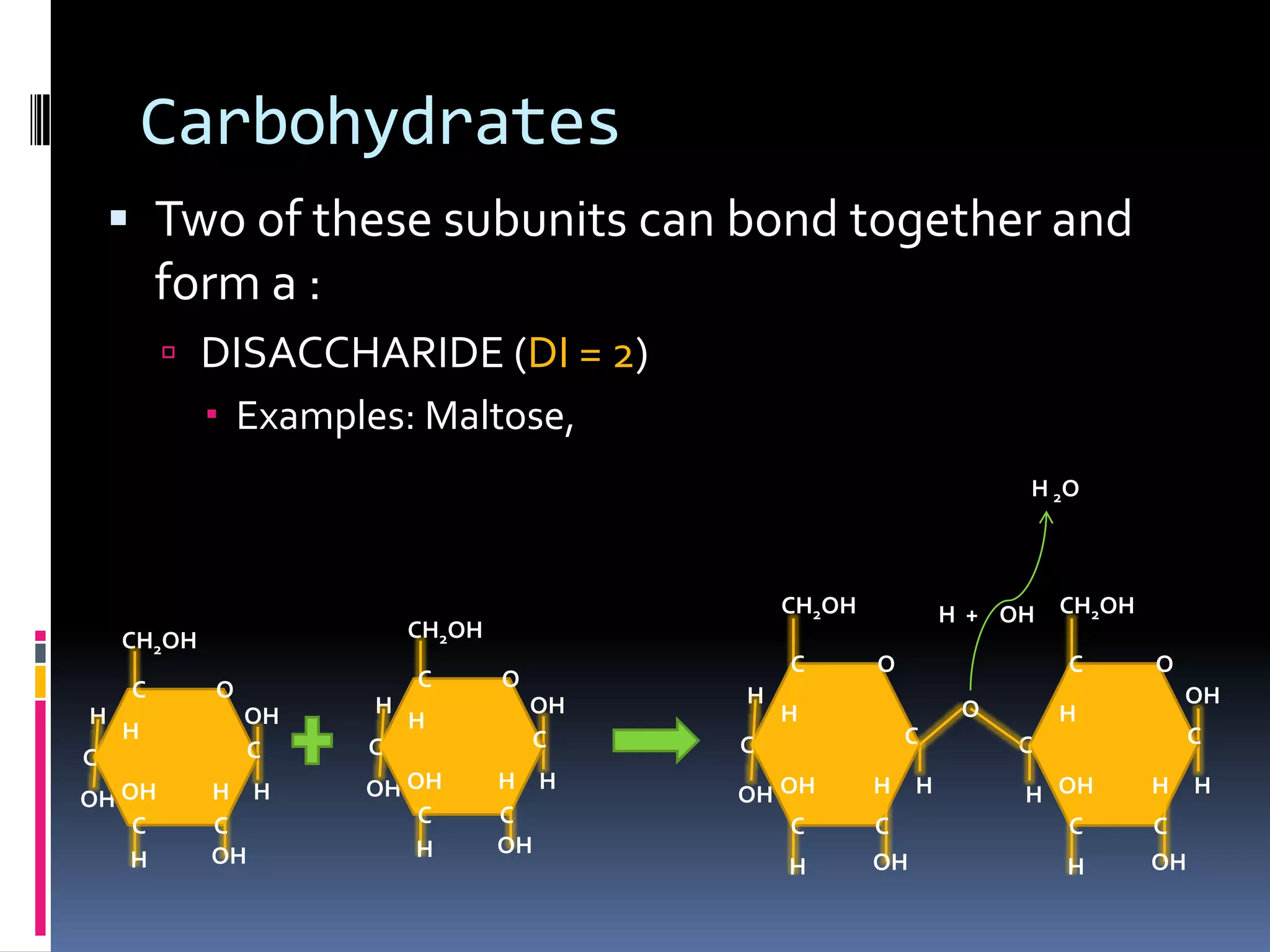Carbohydrates and Lipids | PPT