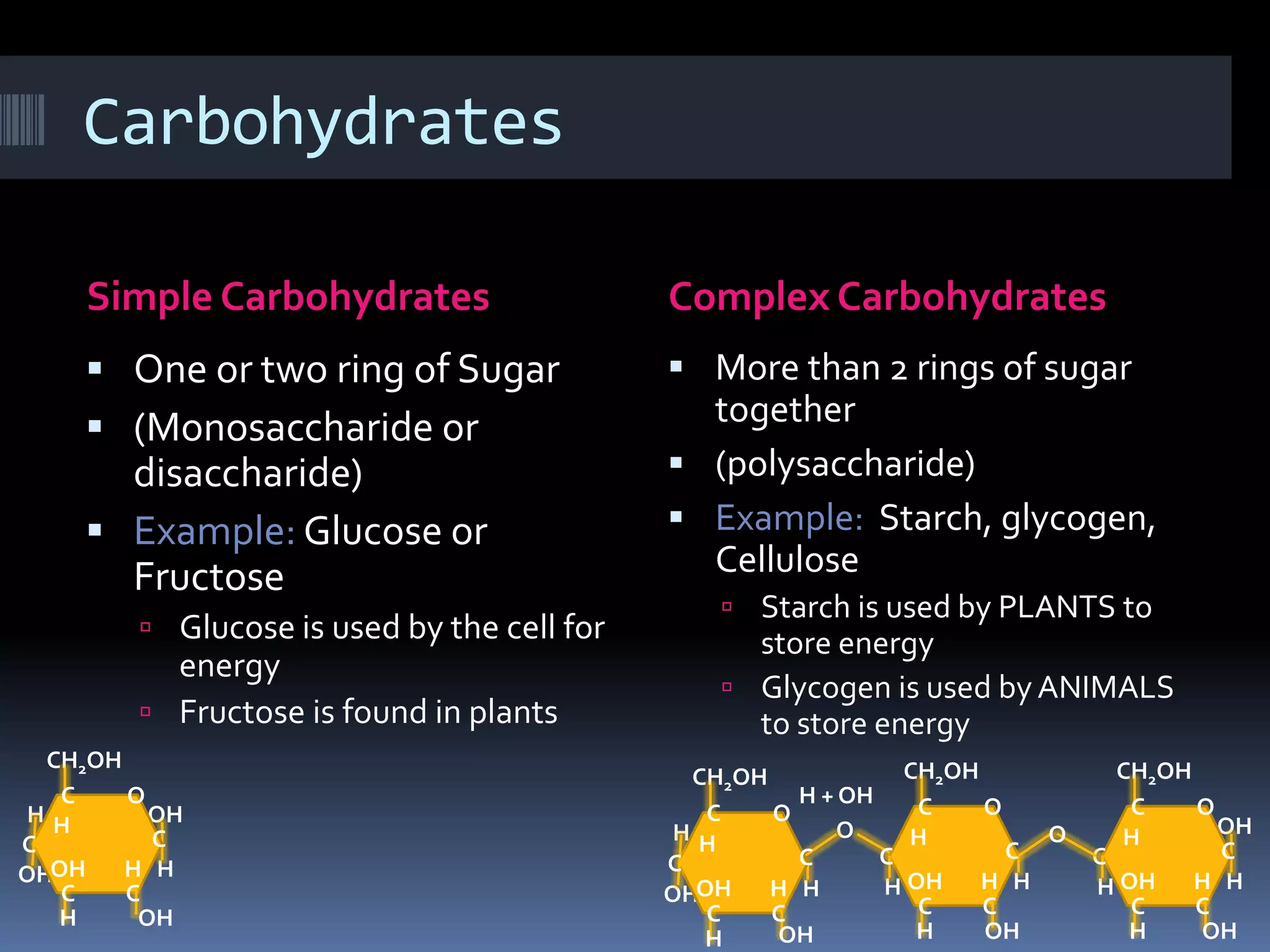 Carbohydrates and Lipids | PPT