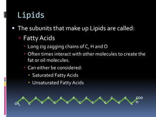 Carbohydrates and Lipids | PPT