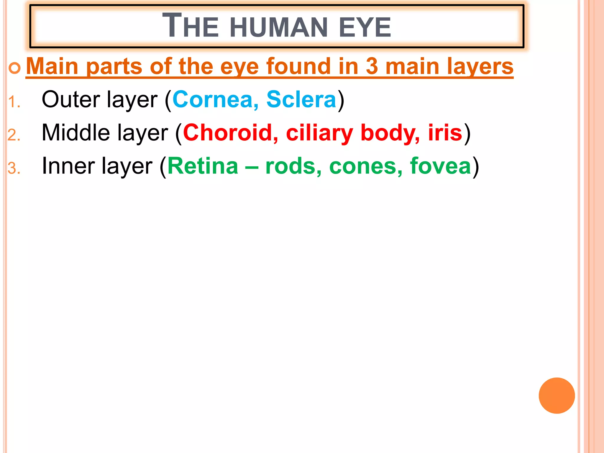 UNIT 2 SENSE ORGANS EYES.pptx