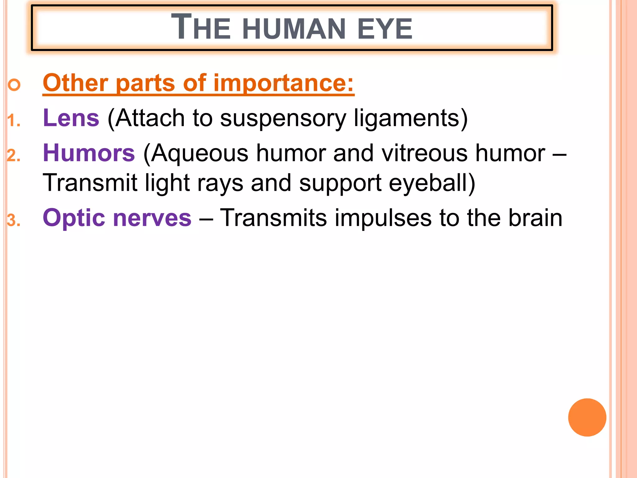 UNIT 2 SENSE ORGANS EYES.pptx