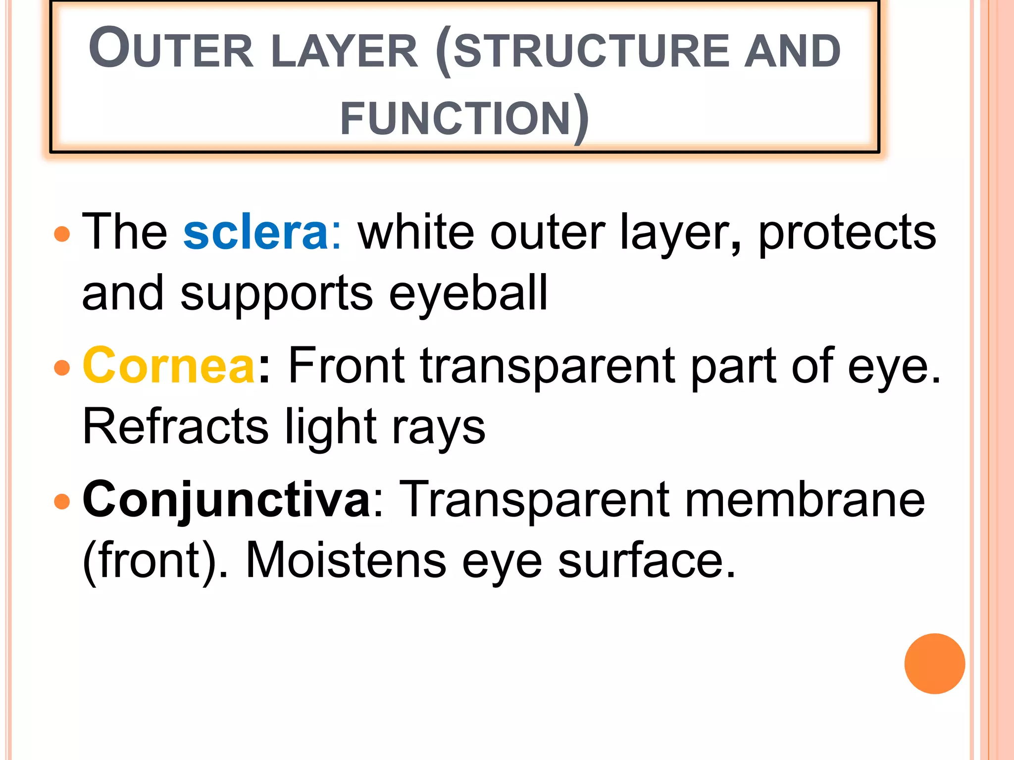 UNIT 2 SENSE ORGANS EYES.pptx | Eye and Vision Conditions | Diseases ...