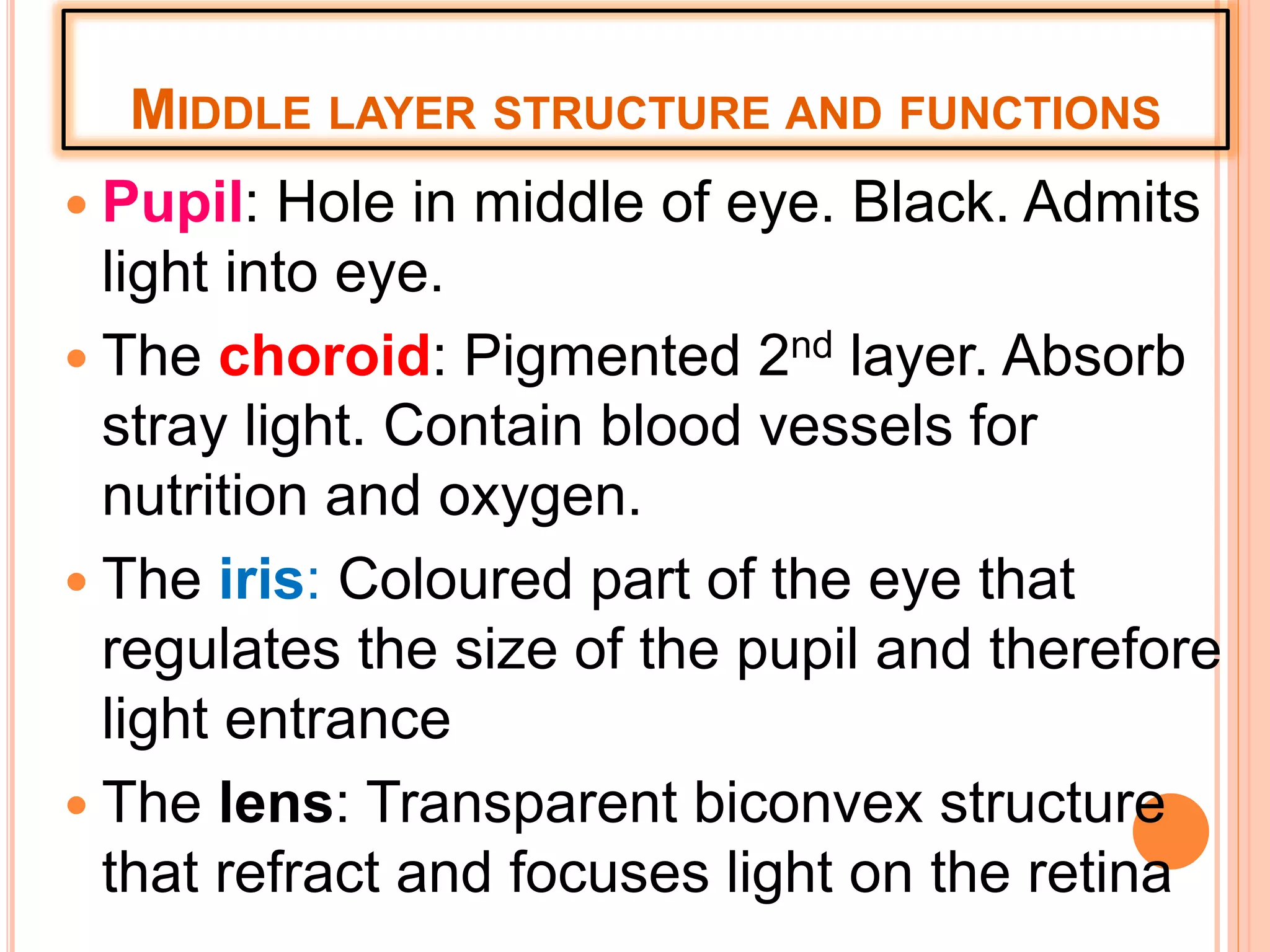 UNIT 2 SENSE ORGANS EYES.pptx
