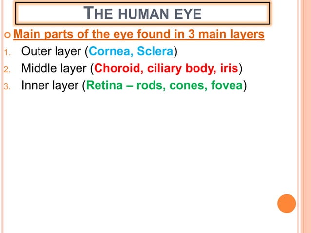 UNIT 2 SENSE ORGANS EYES.pptx