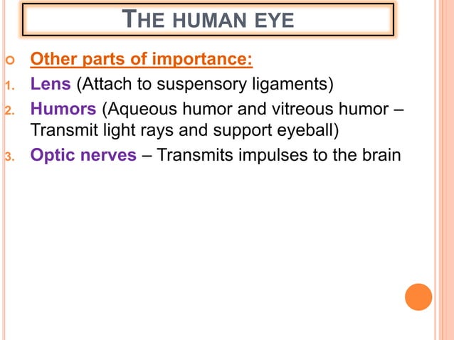 UNIT 2 SENSE ORGANS EYES.pptx