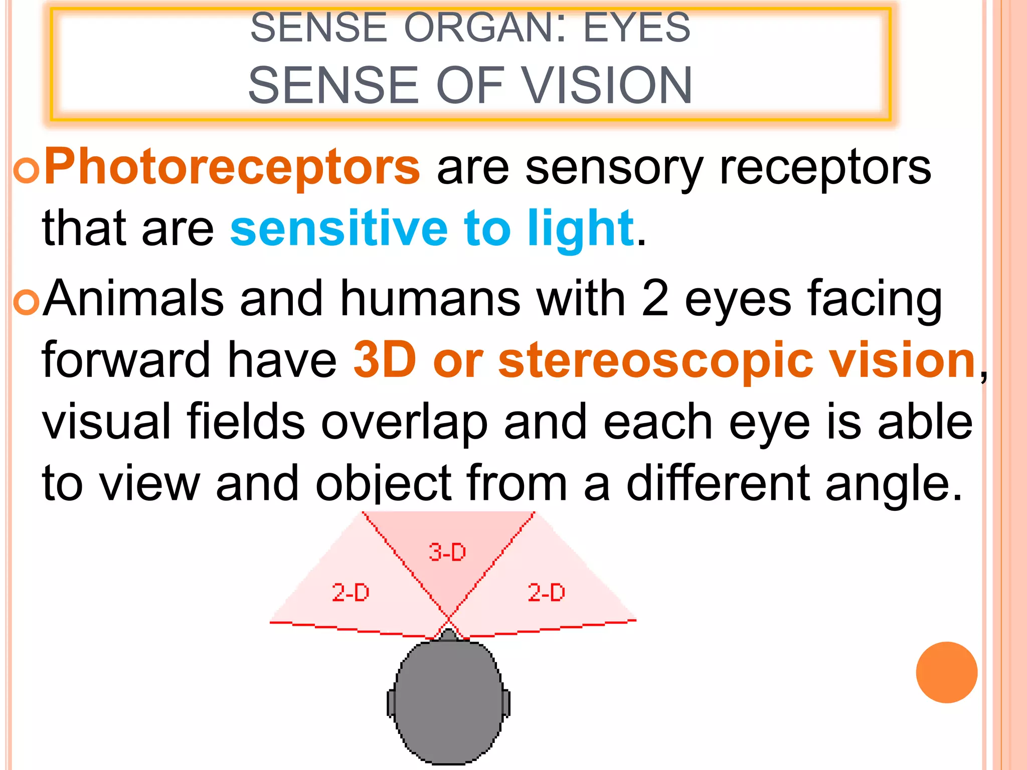 Unit 2 sense organs eyes skin and tongue(1) | PPTX