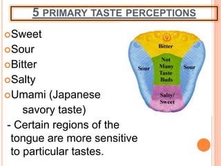 Unit 2 sense organs eyes skin and tongue(1) | PPTX