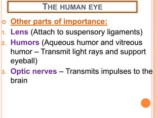 Unit 2 sense organs eyes skin and tongue(1) | PPTX