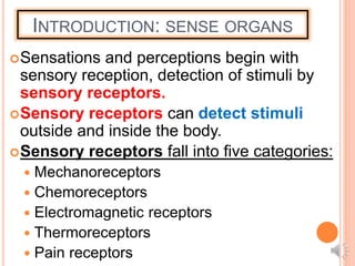 UNIT 2 SENSE ORGANS TONGUE.ppsx