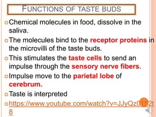 UNIT 2 SENSE ORGANS TONGUE.ppsx