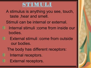 Sensitivity and coordination by Claudia and Lucía | PPT