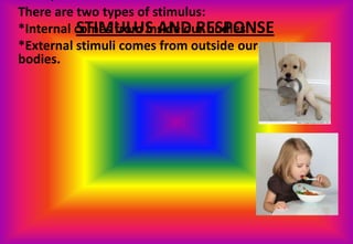 Unit 2 sensitivity and coordination danae s | PPT