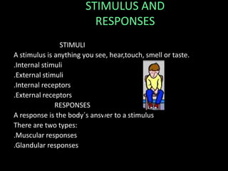 Unit2 sensitivity and coordination noemi and clara s | PPT
