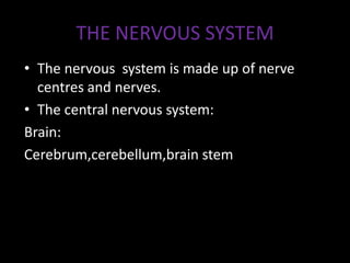 Unit2 sensitivity and coordination noemi and clara s | PPT