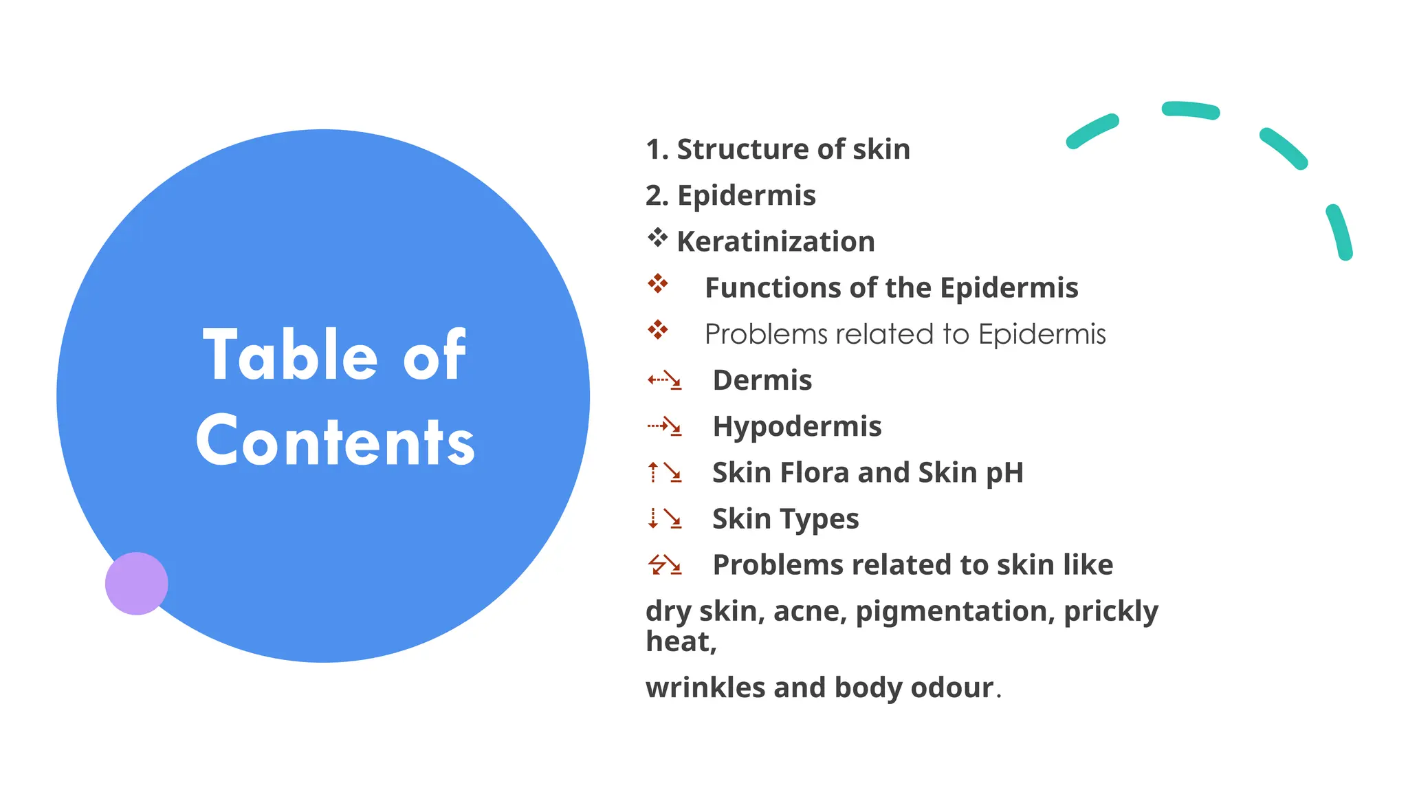 Structure of skin and skin appendages in detail | PPT