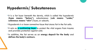 Structure of skin and skin appendages in detail | PPTX