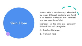 Structure of skin and skin appendages in detail | PPTX