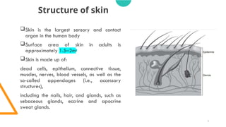 Structure of skin and skin appendages in detail | PPT