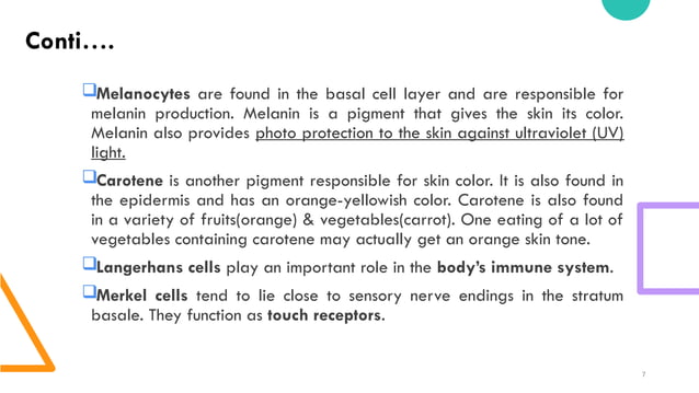 Structure of skin and skin appendages in detail | PPT