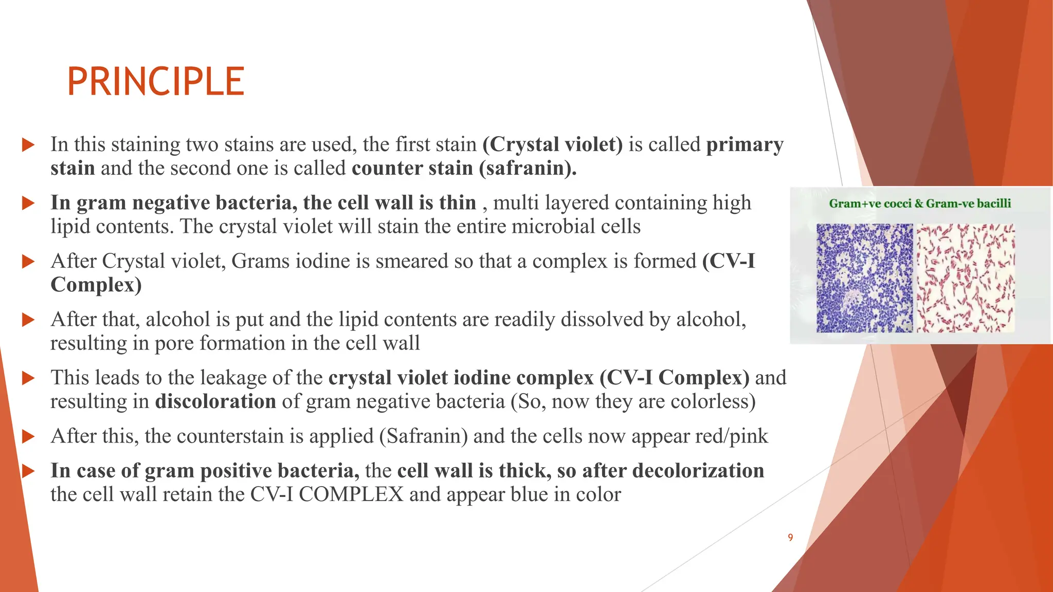 UNIT 2 STAINING TECHNIQUES, IMViC tests, METHODS OF STERILIZN ...