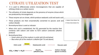 UNIT 2 STAINING TECHNIQUES, IMViC tests, METHODS OF STERILIZN ...