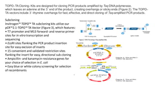Unit 2 Star Activity.pdf