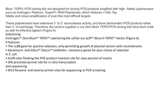 Unit 2 Star Activity.pdf