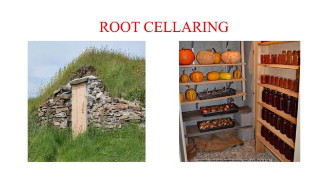 Unit 2 Storage methods.pptx | Gardening | Home & Garden