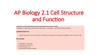 Comprehensive AP Biology: Cell Structure, Size, and Membrane Functions ...