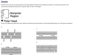 Comprehensive AP Biology: Cell Structure, Size, and Membrane Functions ...