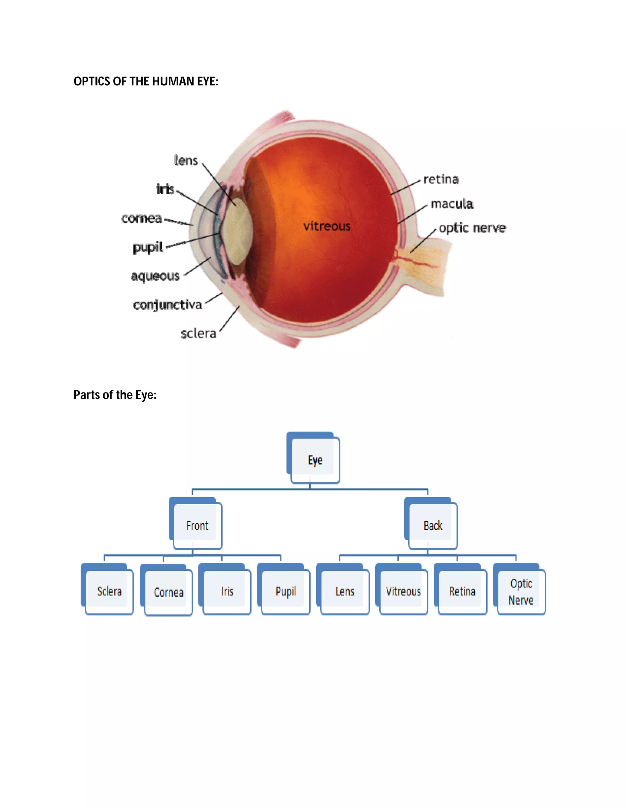 Ophthalmic & Geometrical, Physiological Optics | PDF