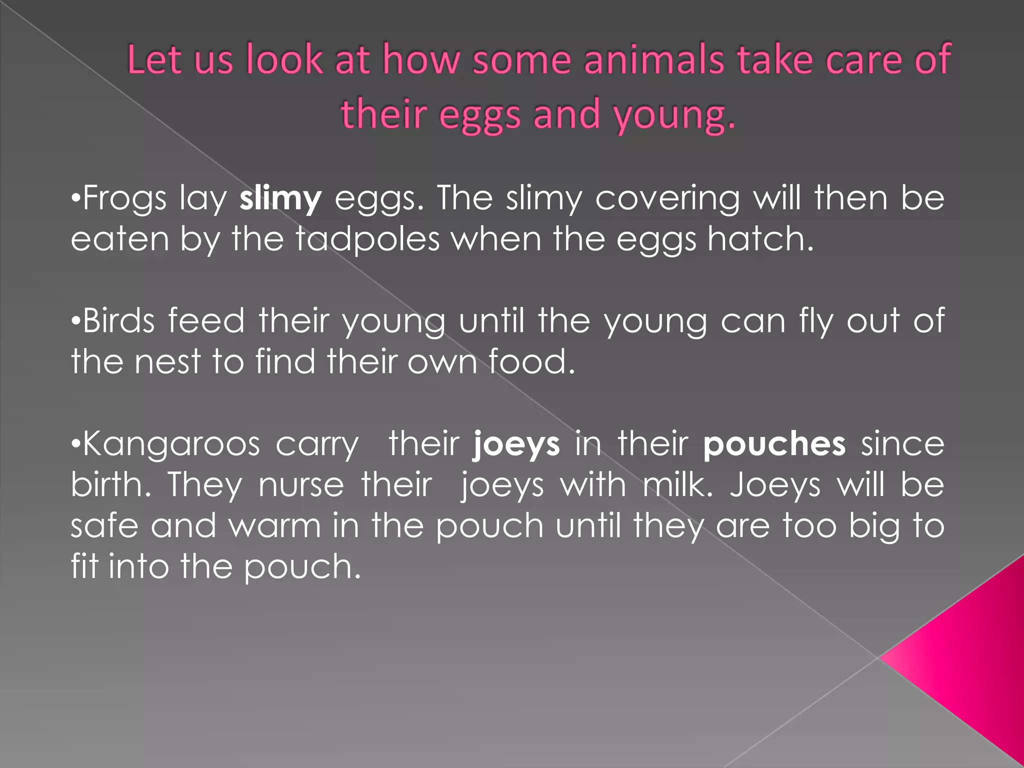 Unit 2 survival of species | PPTX