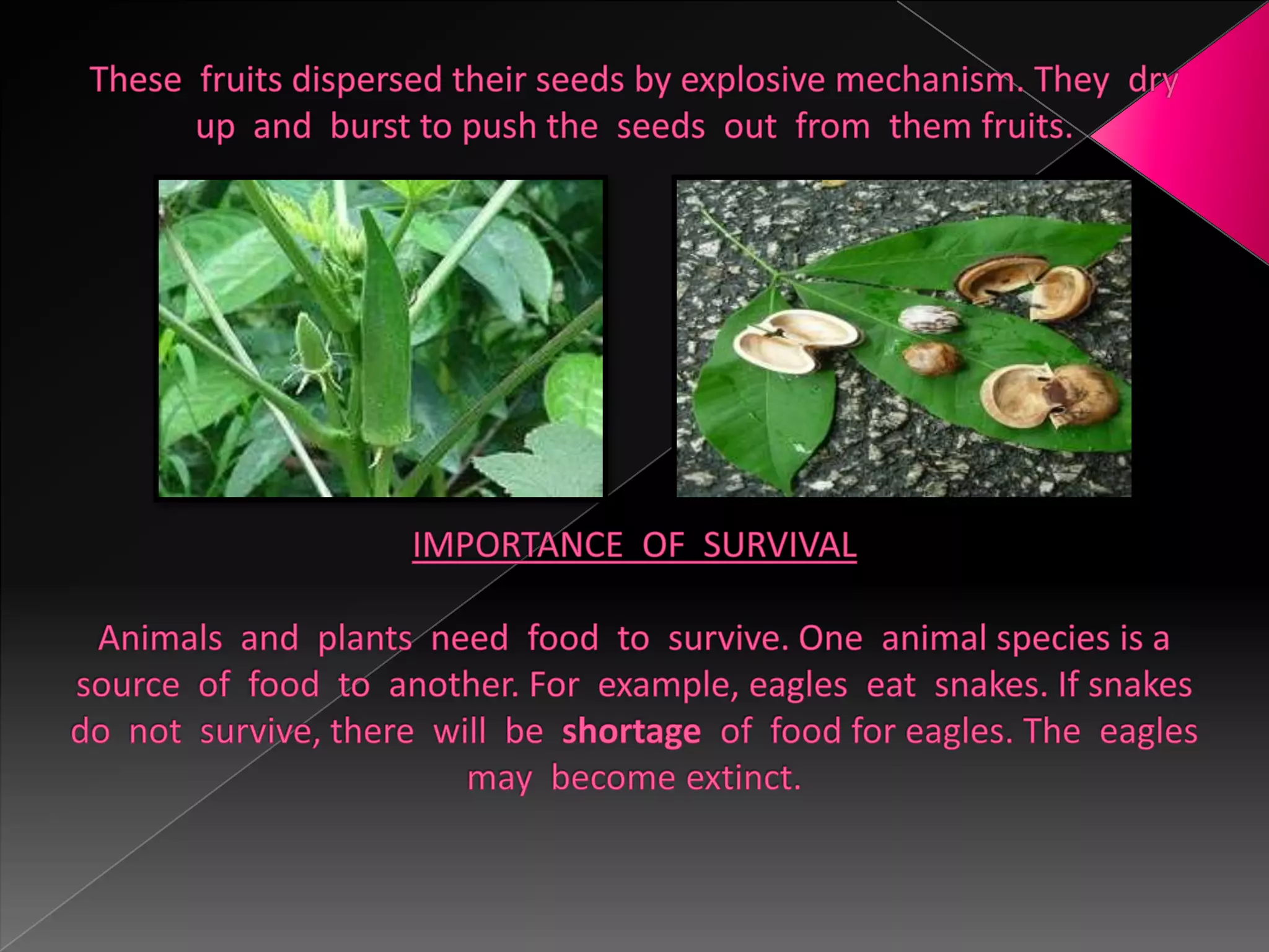 Unit 2 survival of species | PPTX