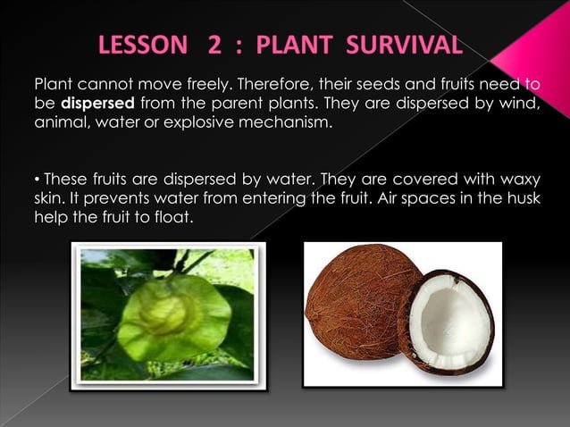 Unit 2 survival of species | PPTX | Pets